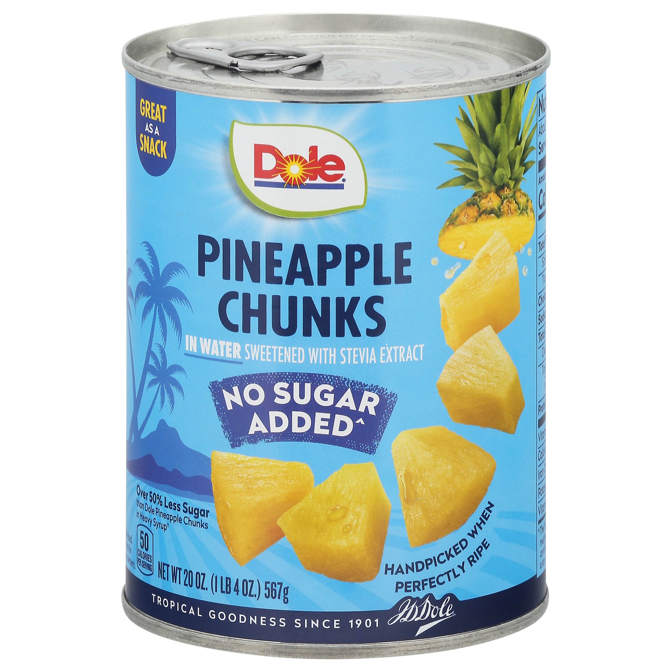 Dole No Sugar Added Pineapple Chunks 20 oz - 12 Pack – StockUpExpress