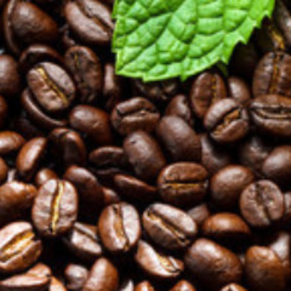 Tennessee Whiskey Coffee - 1 lb (16 oz) – StockUpExpress