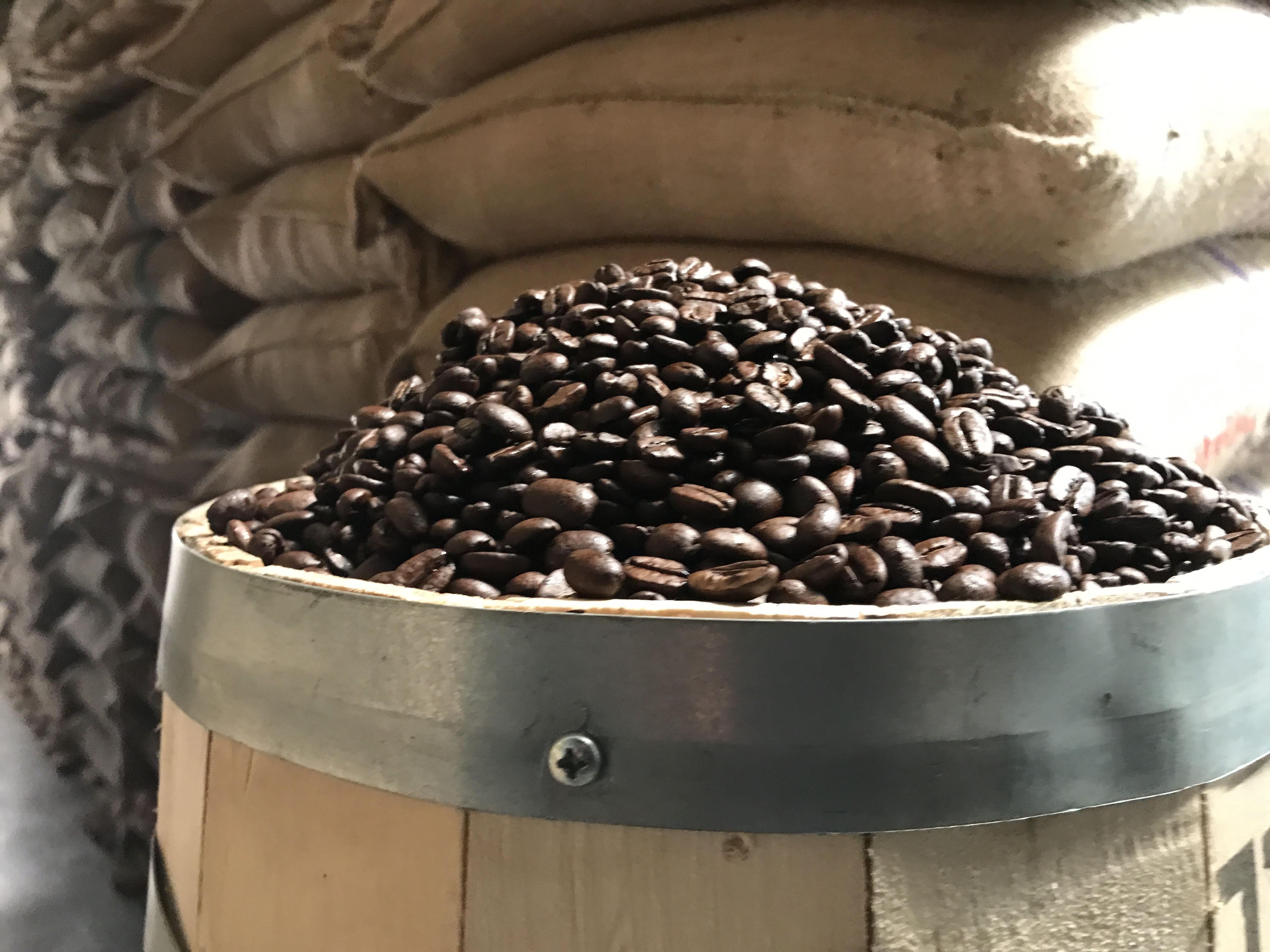 Judge Alito's Bold Justice Blend - 5, 10, 20 LB – StockUpExpress